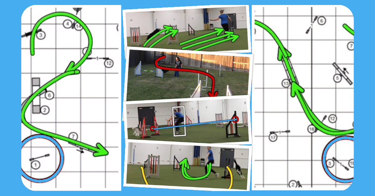 Join the 2025 Nationals Prep Course – Bad Dog Agility Academy