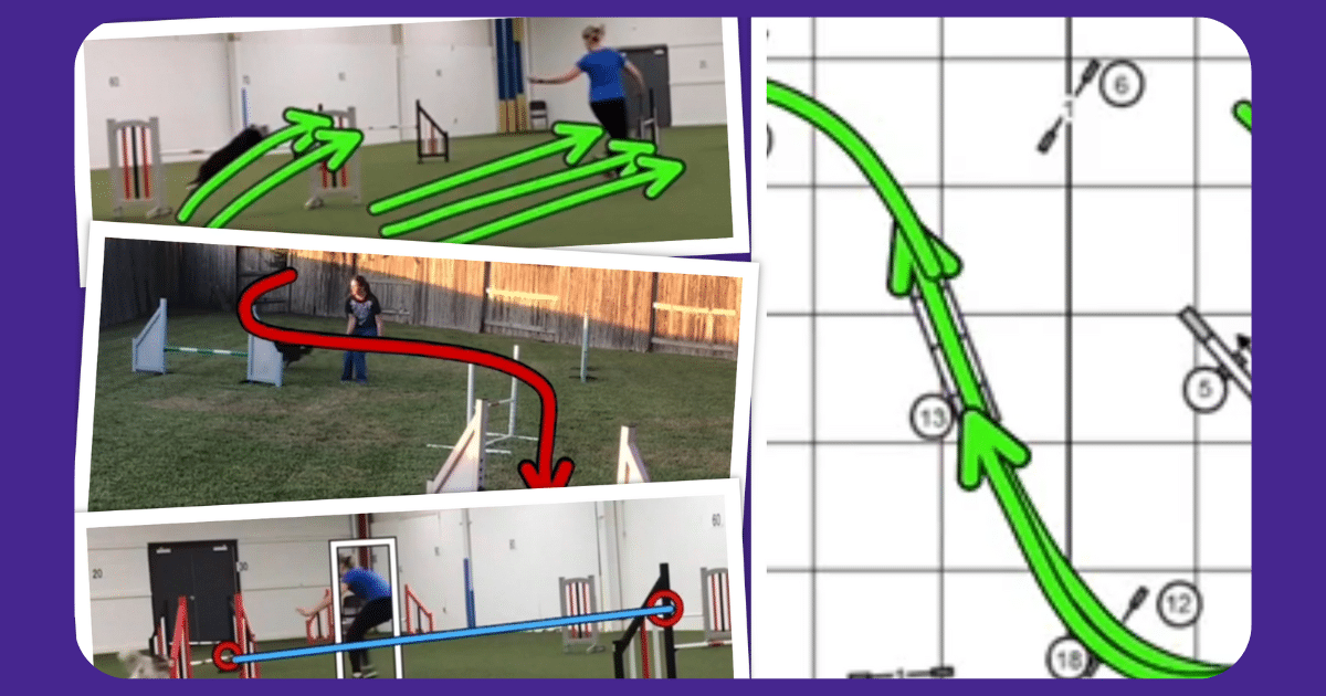 Join the 2024 Invitational Prep Course – Bad Dog Agility Academy
